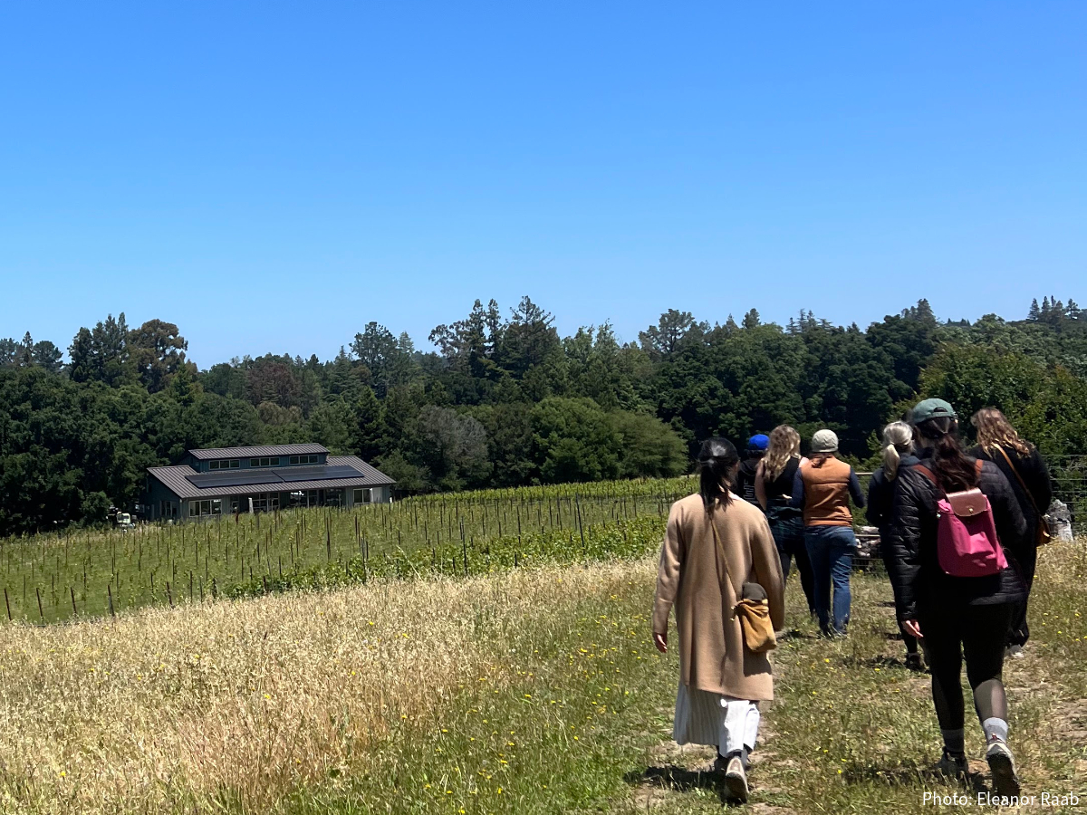 Day Trips and Sips: Wine Tasting, Hiking and Food in Portola Valley ...