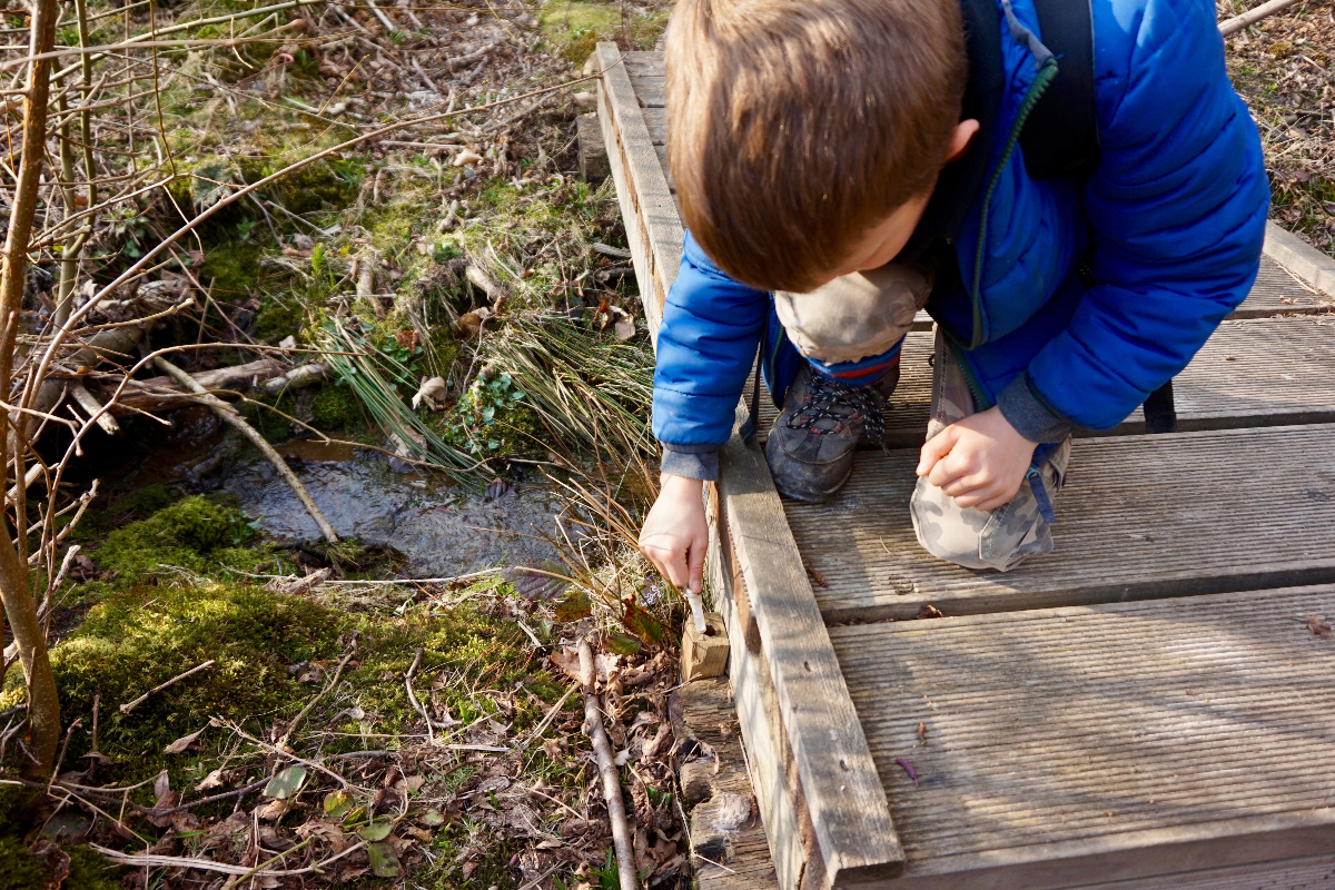 Seeking a Family Adventure? Geocaching in the Santa Cruz Mountains ...