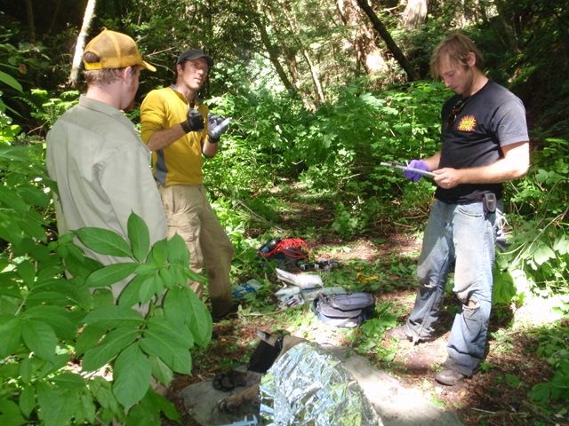 How To Capture A Mountain Lion | Silicon Valley