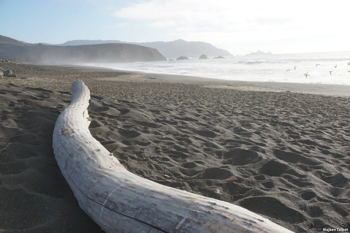 Veteran Pacifica surfers hope artificial reef can protect and preserve ...