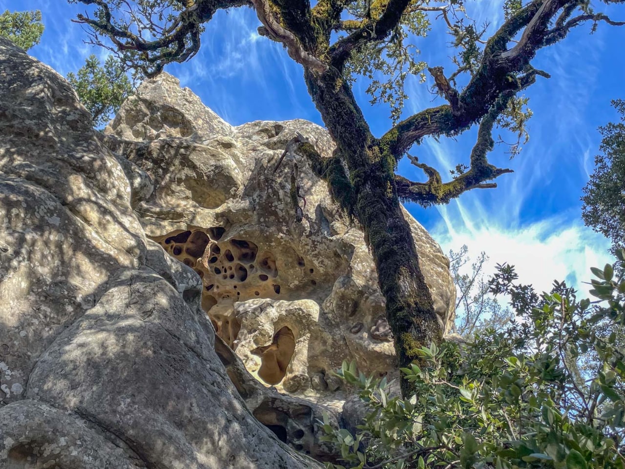 10 Ways to Play at Castle Rock State Park | Silicon Valley