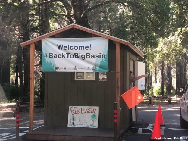Day Trips and Sips: Explore Big Basin as it Rebuilds | Silicon Valley